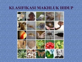 7 - klasifikasi makhluk hidup.pptx