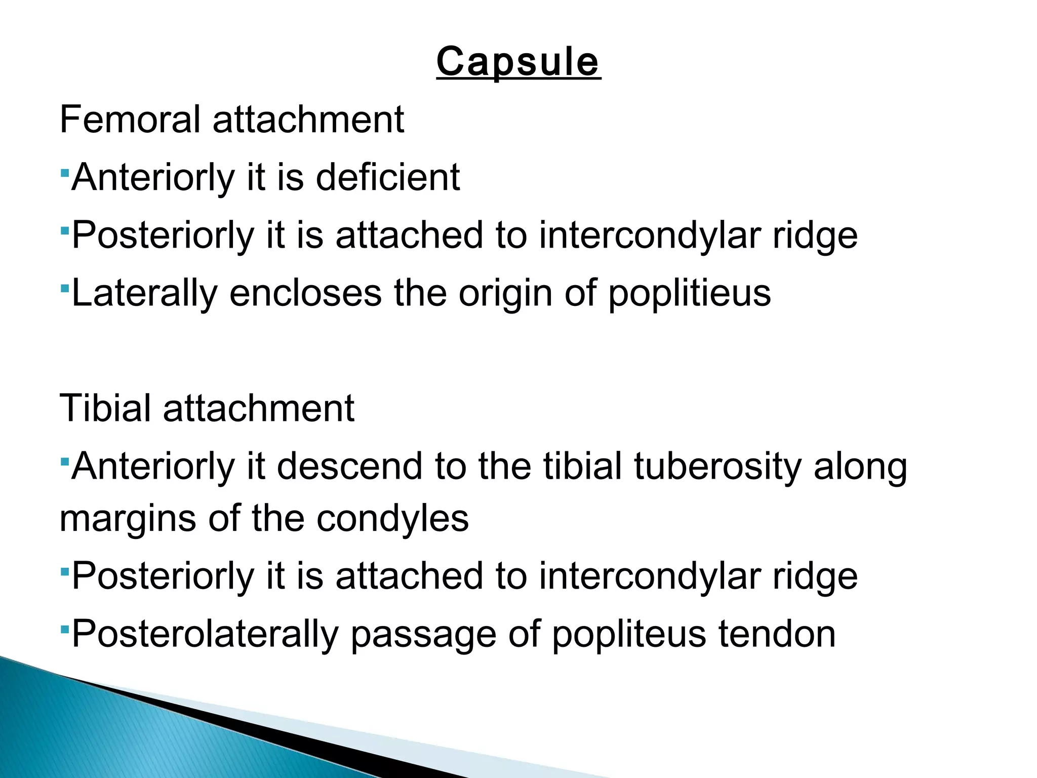 knee joint anatomy and clinical | PPT