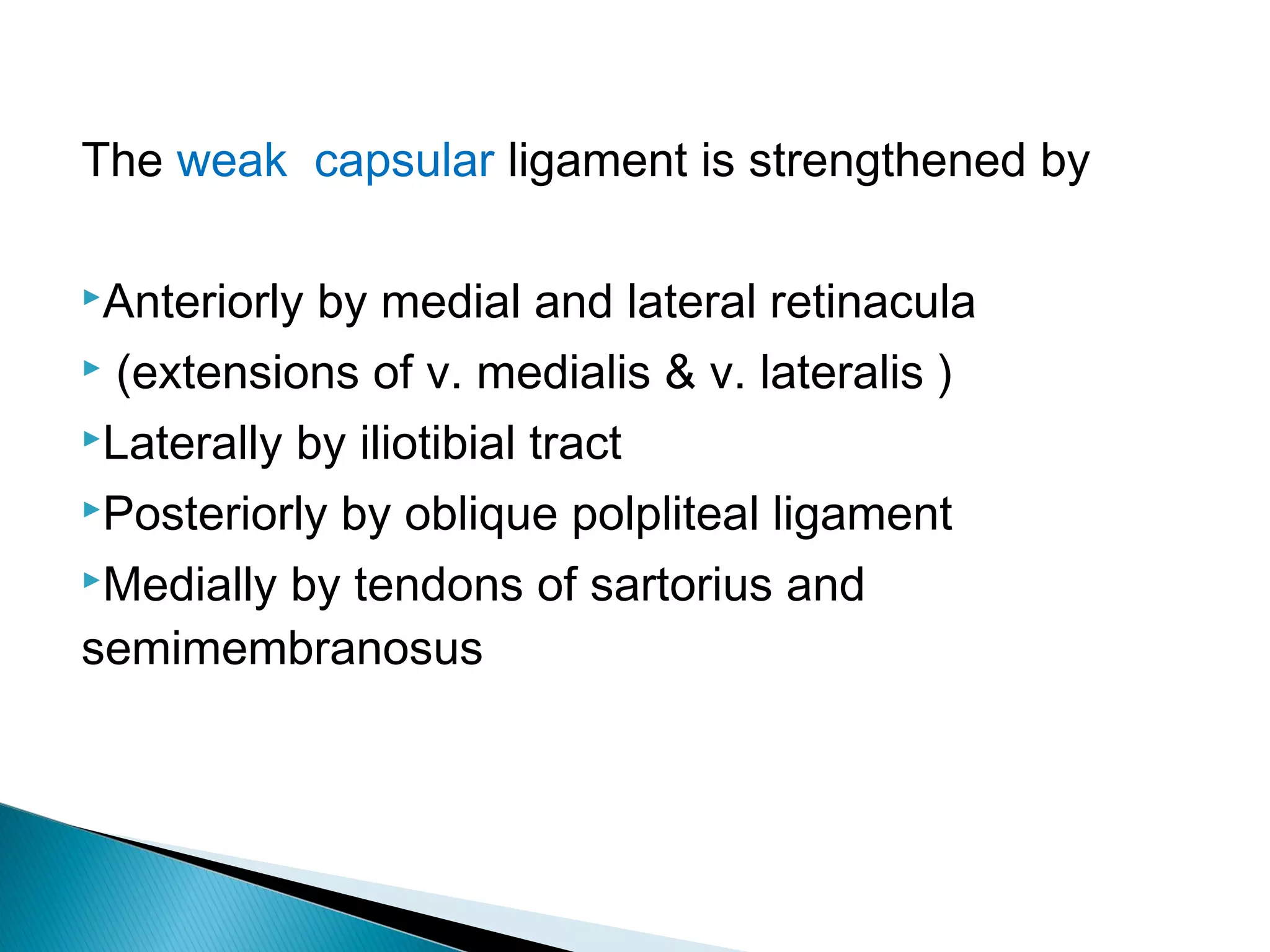knee joint anatomy and clinical | PPT