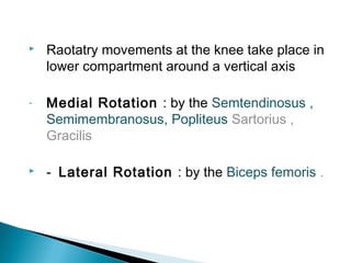 knee joint anatomy and clinical | PPT