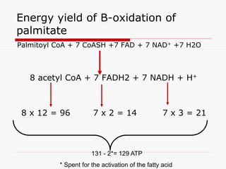 Lipid Metabolism synthesis and oxidation | PDF