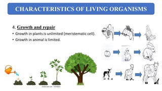 7 living and non-living | PPT
