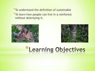 7 living sustainably in the rainforest | PPT