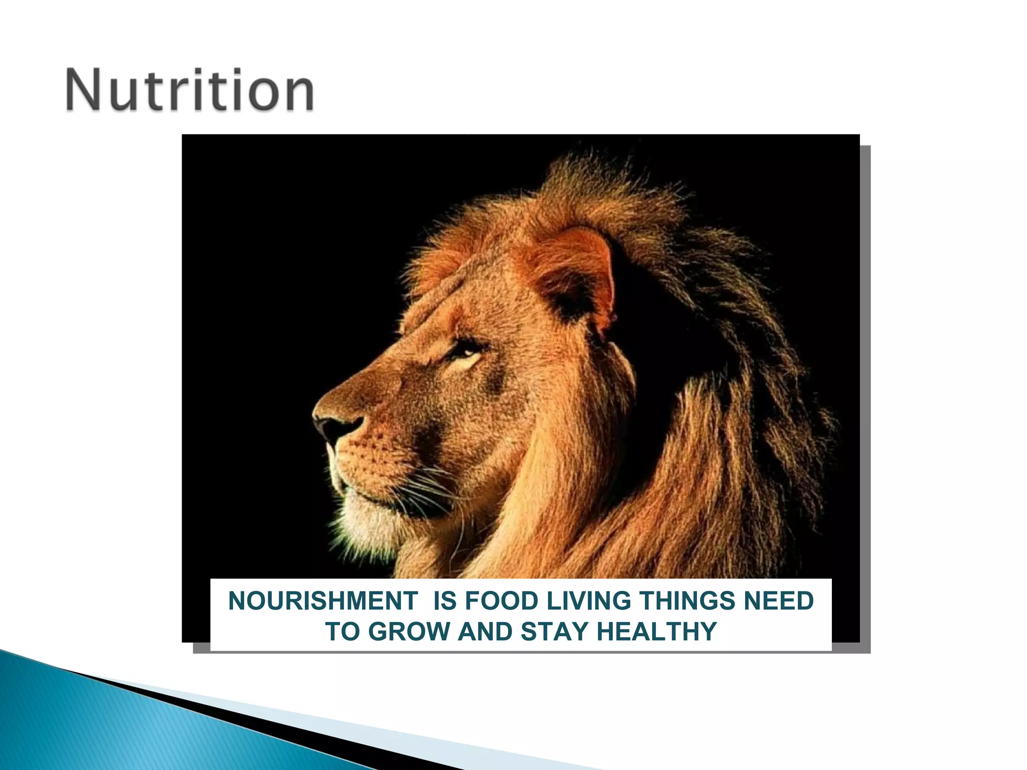 Living Things Nutrition And Kinds Of Food | PPT