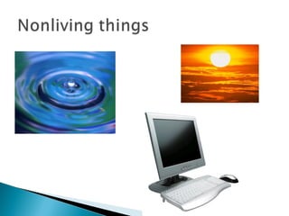 Living Things Nutrition And Kinds Of Food | PPT