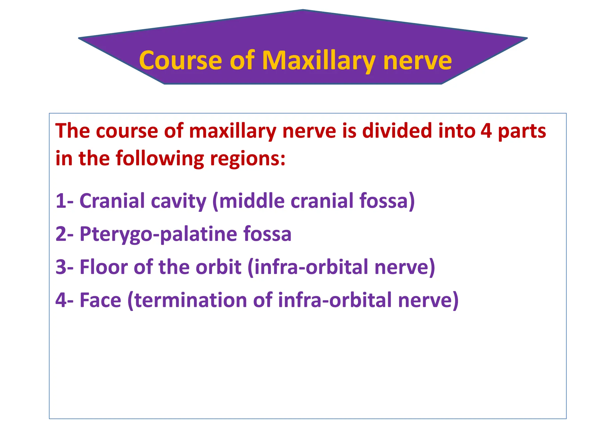 7-Maxillary mandibular nerves-Dr Walaa(1).pptx
