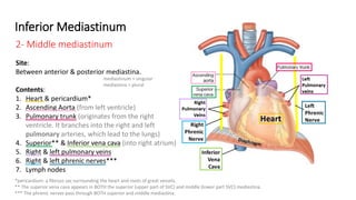 7-Mediastinum -1.pdrhhbbbnhgbnjkkjkjjjjjkjjjj | PDF
