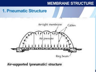 7-MEMBRANE.pdf