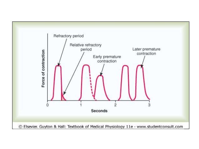 UNIDAD III. Capítulo 9: «Músculo cardíaco: el corazón como bomba y la ...