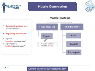 7-Muscle contraction.pdf anatomy and physiology | PDF