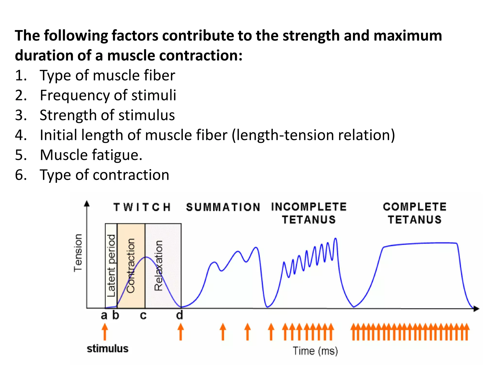 7 muscular-force (1) | PDF