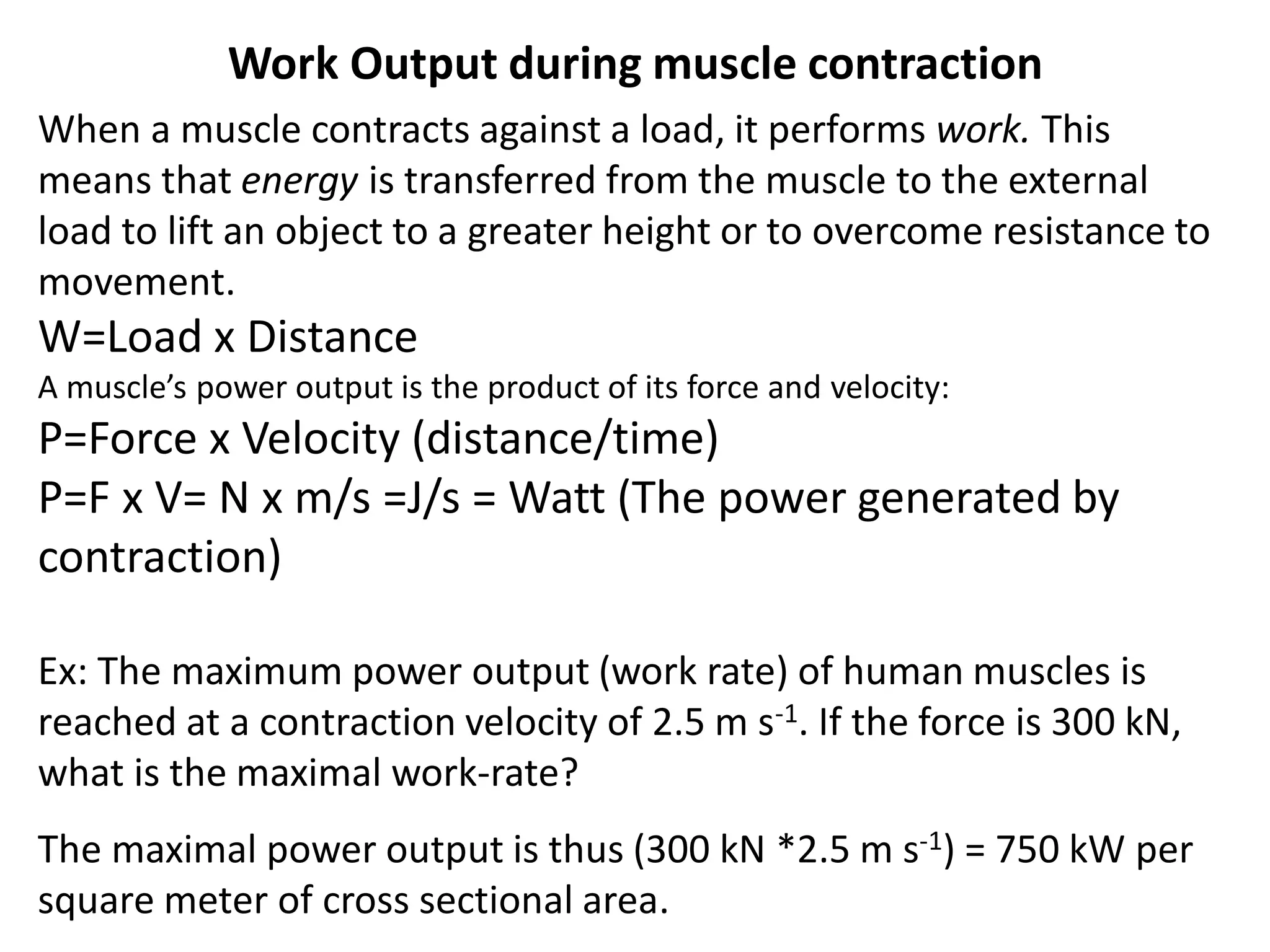 7 muscular-force (1) | PDF