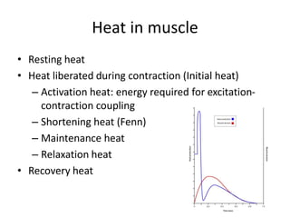 7 muscular-force (1) | PDF