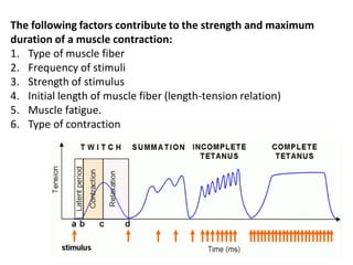 7 muscular-force (1) | PDF