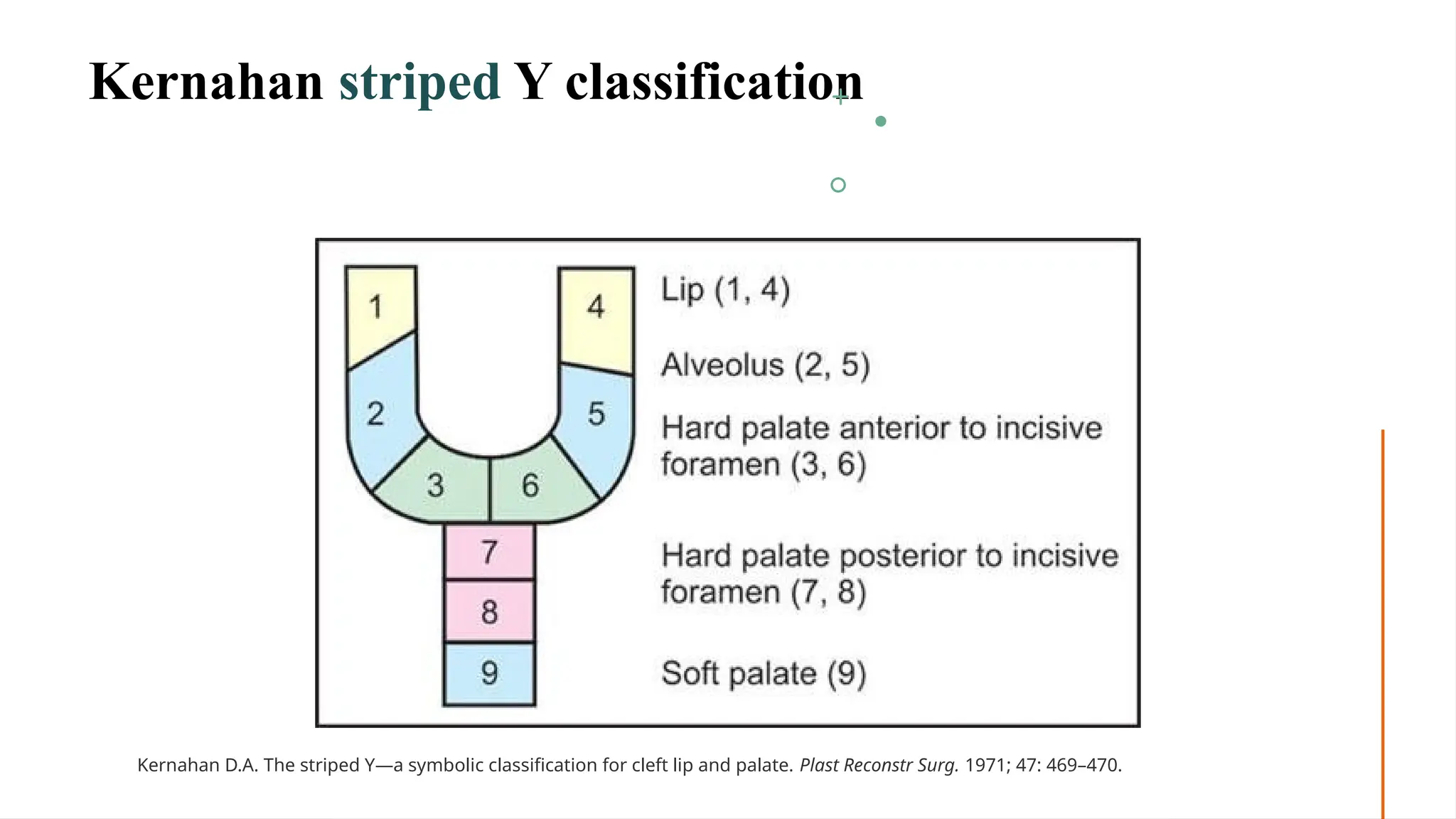 NASO ALVEOLAR MOULDNIG IN CLEFT LIP AND PALATE PATIENT | PPTX