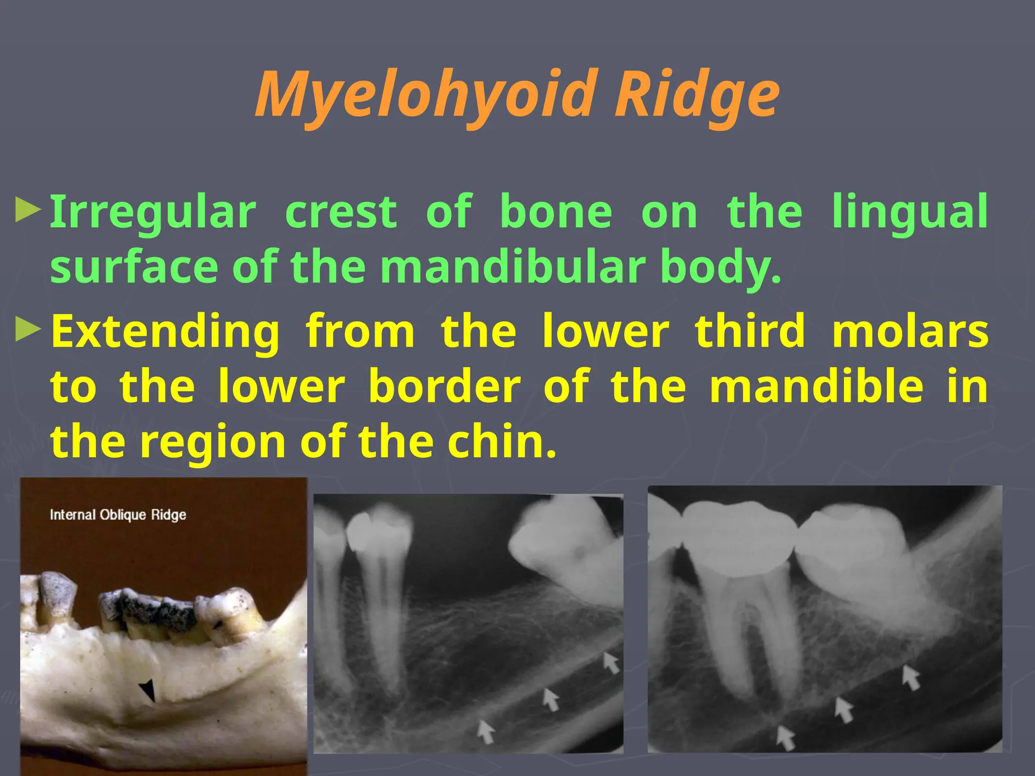 7-Normal Radiographic Anatomy-updated..pptx