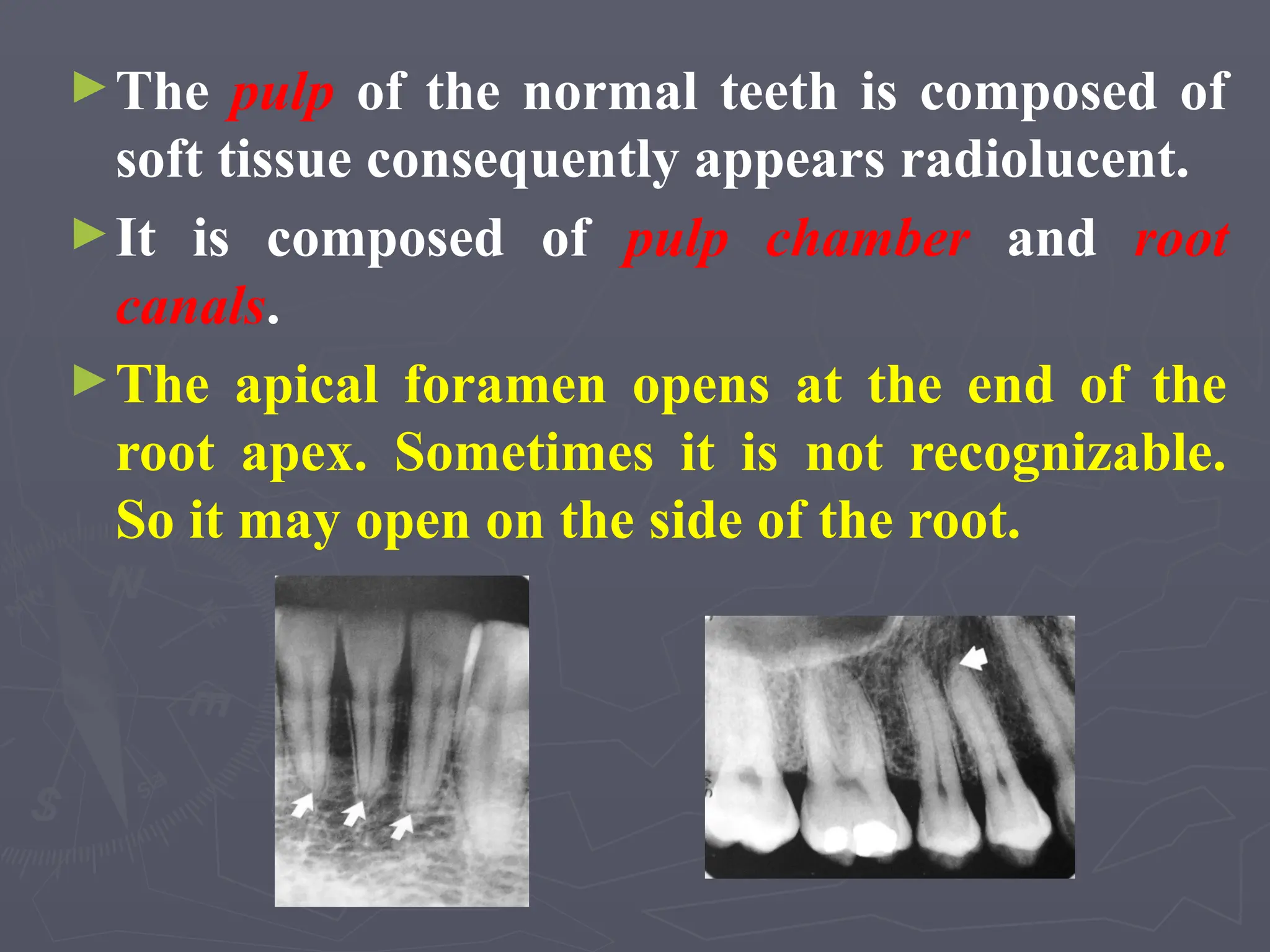 7-Normal Radiographic Anatomy-updated..pptx