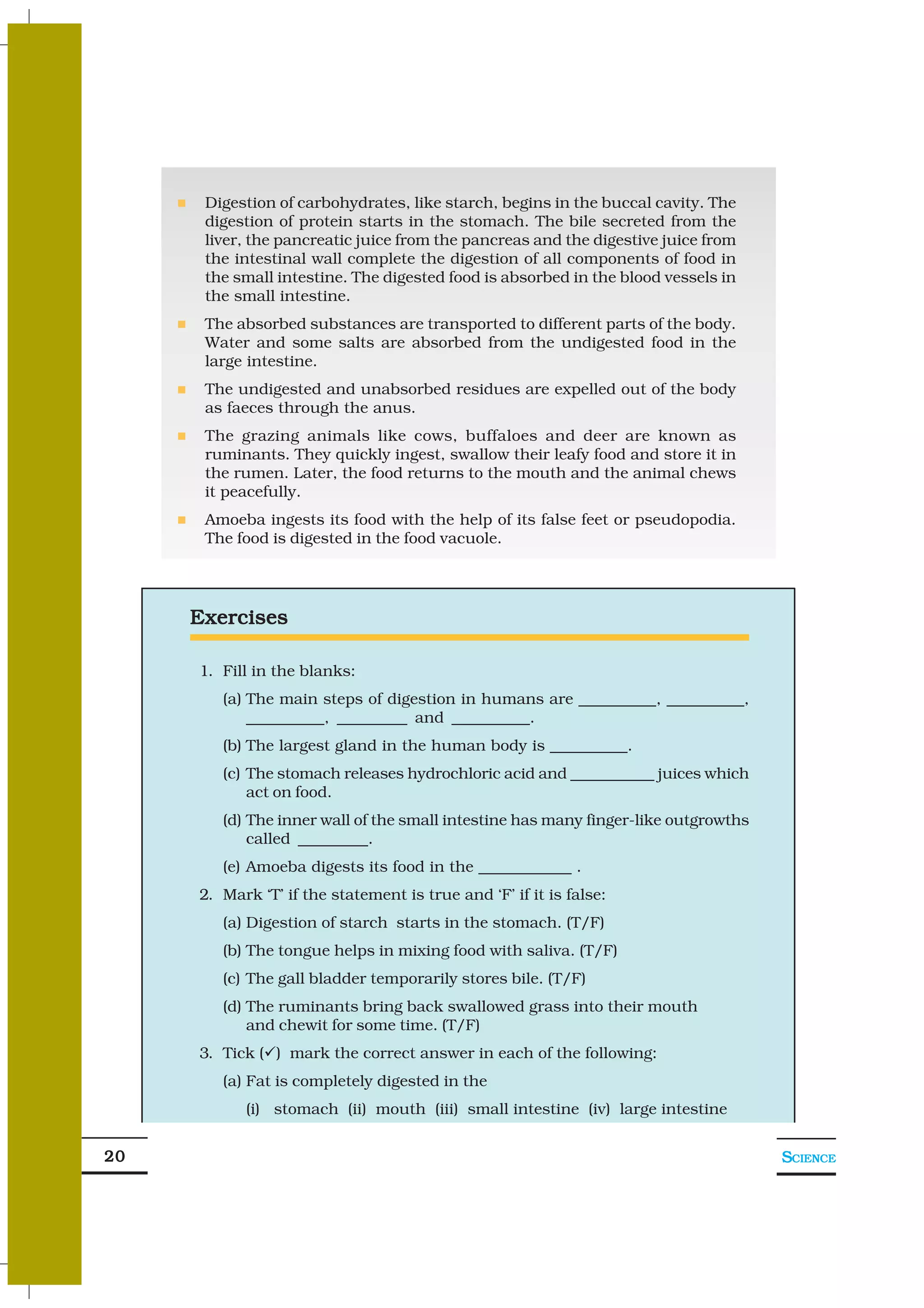 7 nutrition in animals | PDF