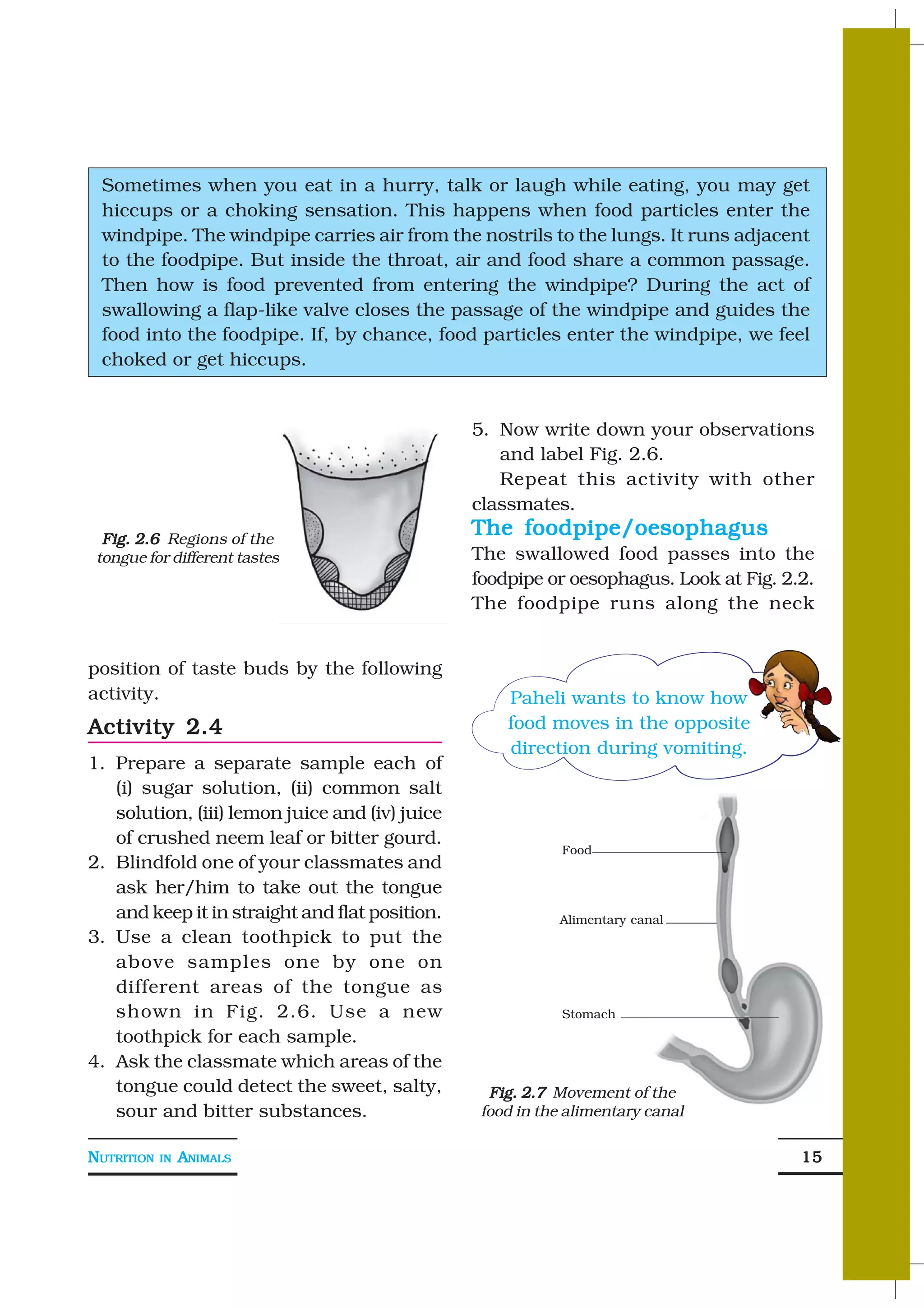 7 nutrition in animals | PDF
