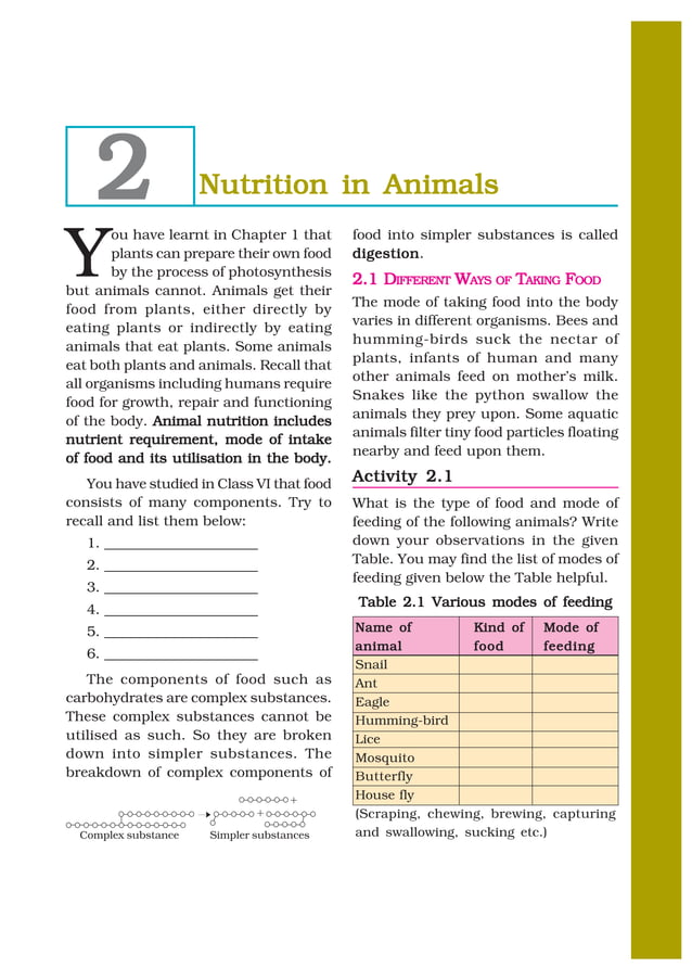 7 nutrition in animals | PDF