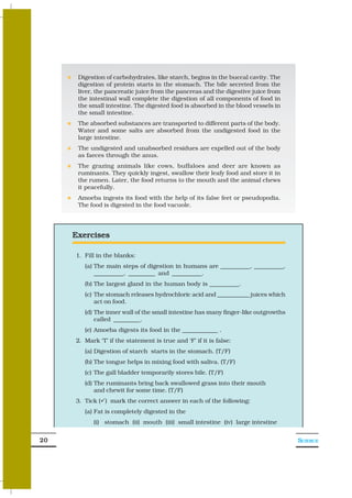 7 nutrition in animals | PDF