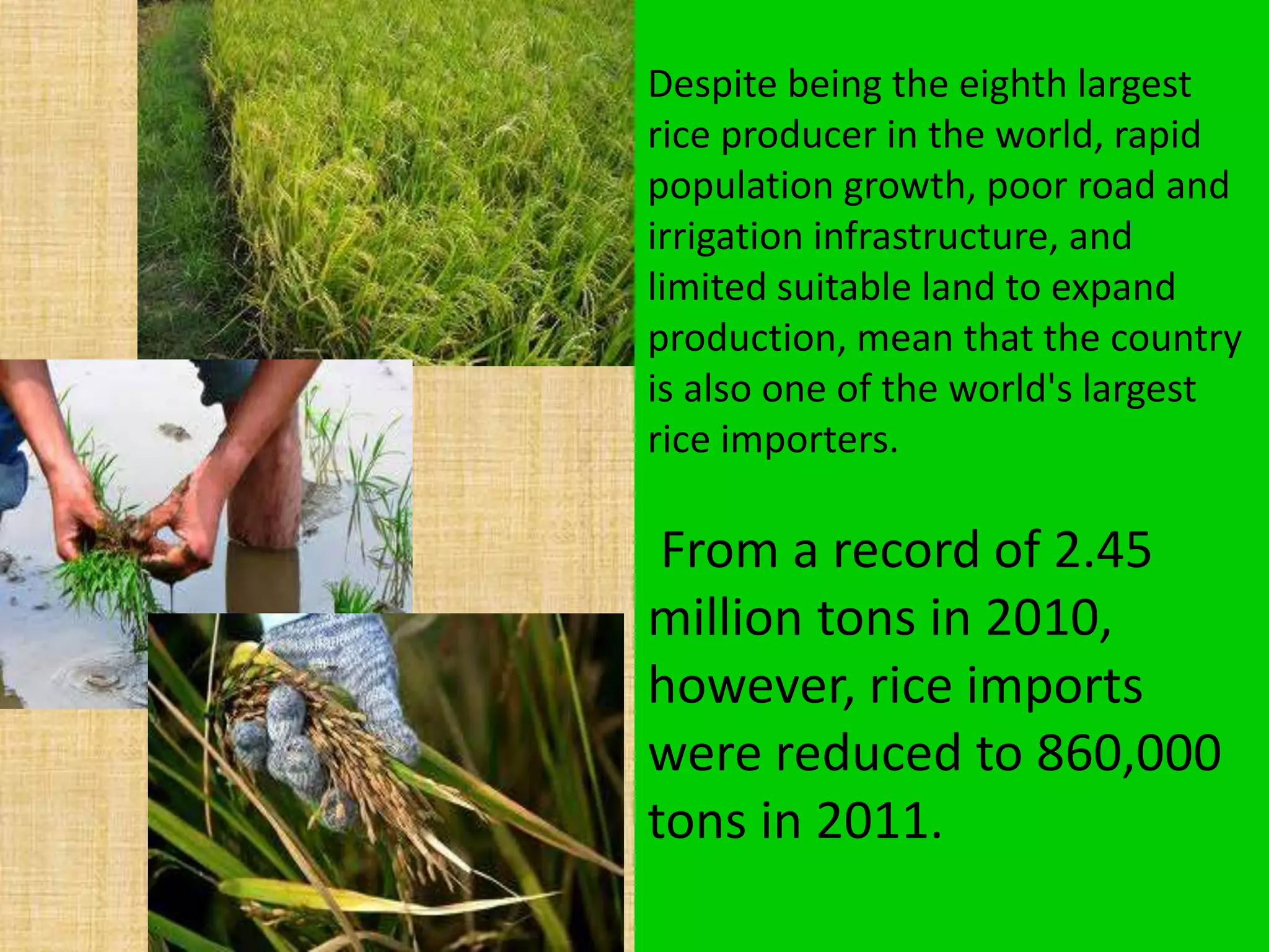 Philippine Agriculture | PPTX