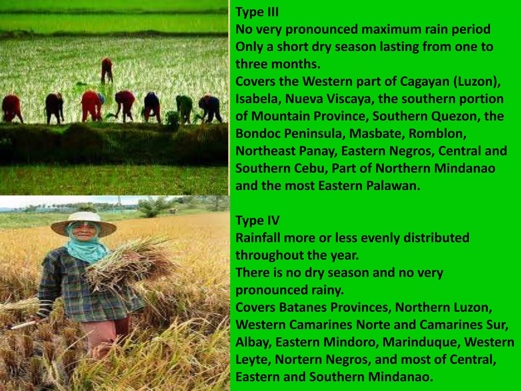 Philippine Agriculture | PPTX