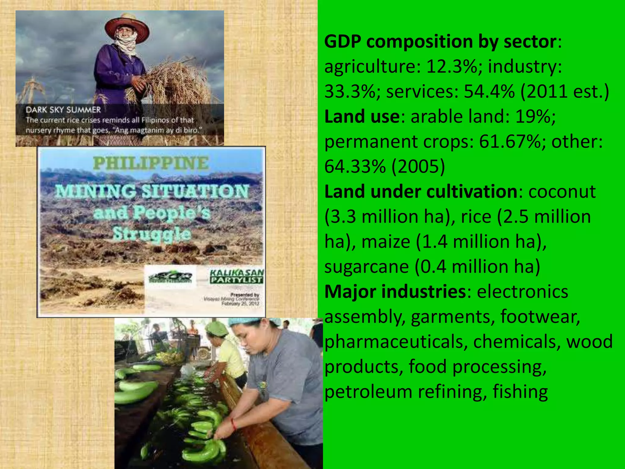 Philippine Agriculture | PPTX