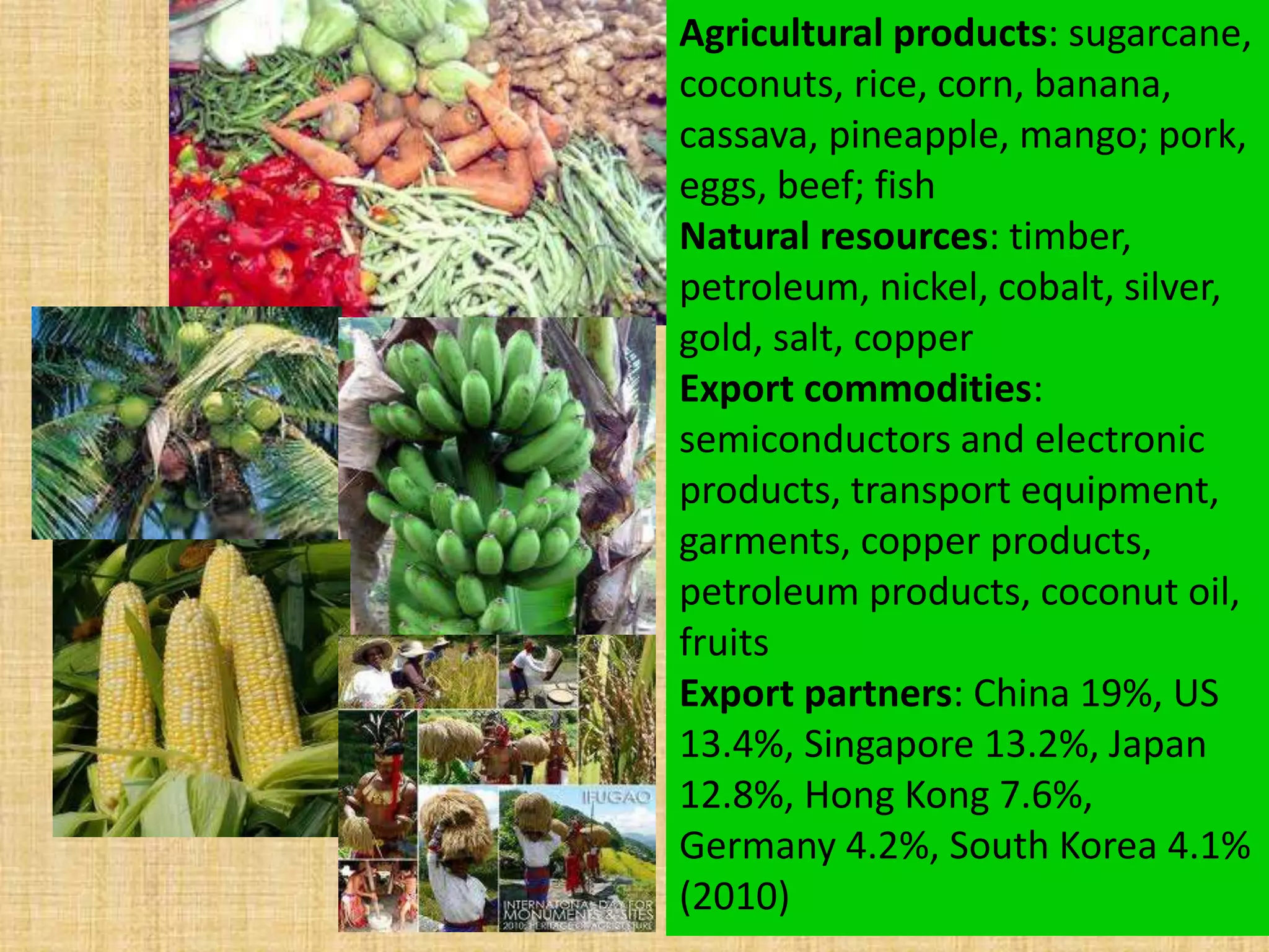 Philippine Agriculture | PPTX