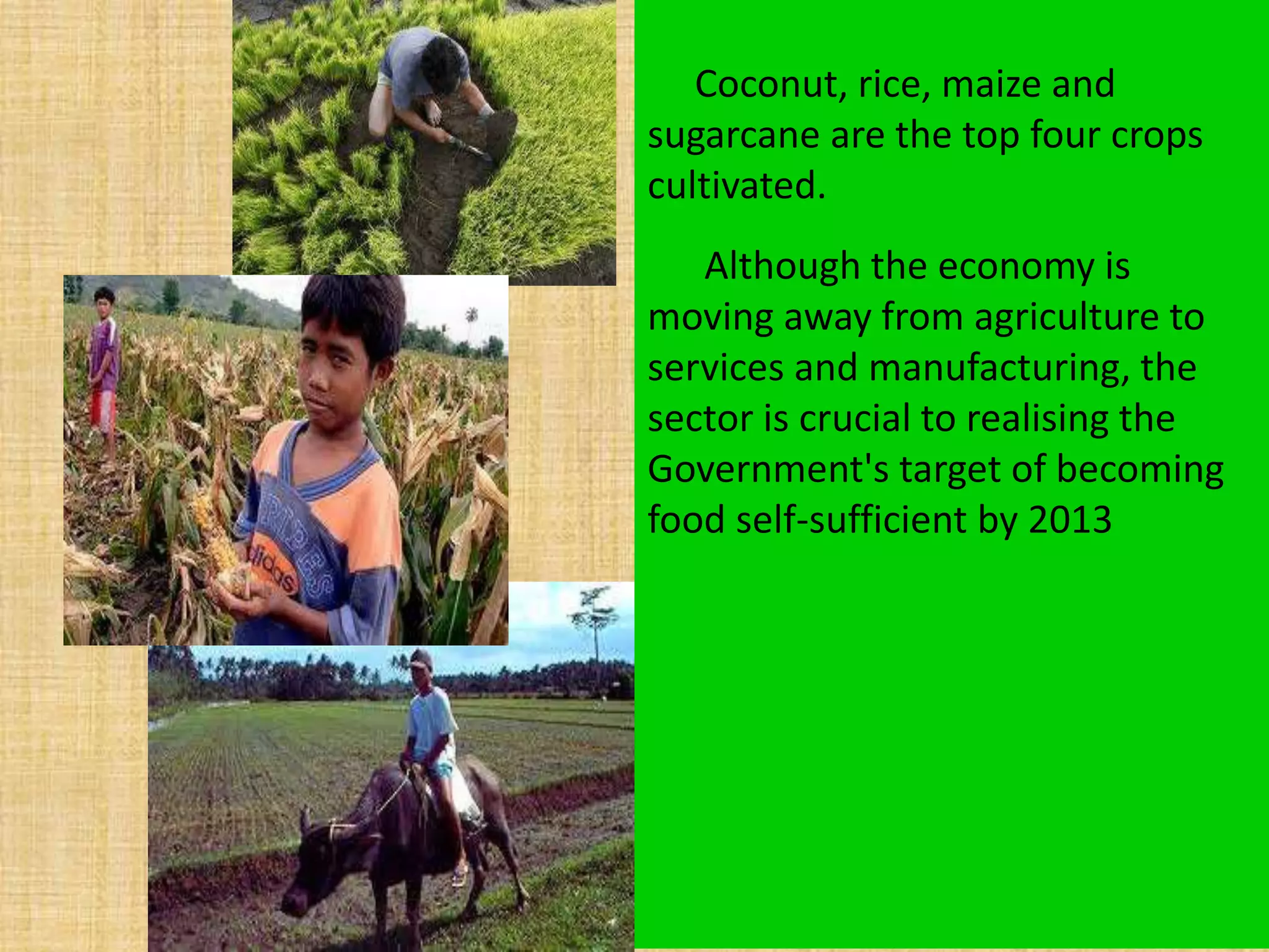 Philippine Agriculture | PPTX
