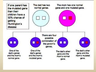 7. Patterns of Inheritance | PPTX