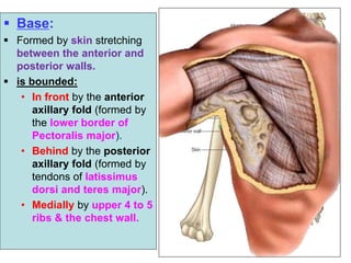 pectoral region & axilla.ppt