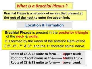 pectoral region & axilla.ppt