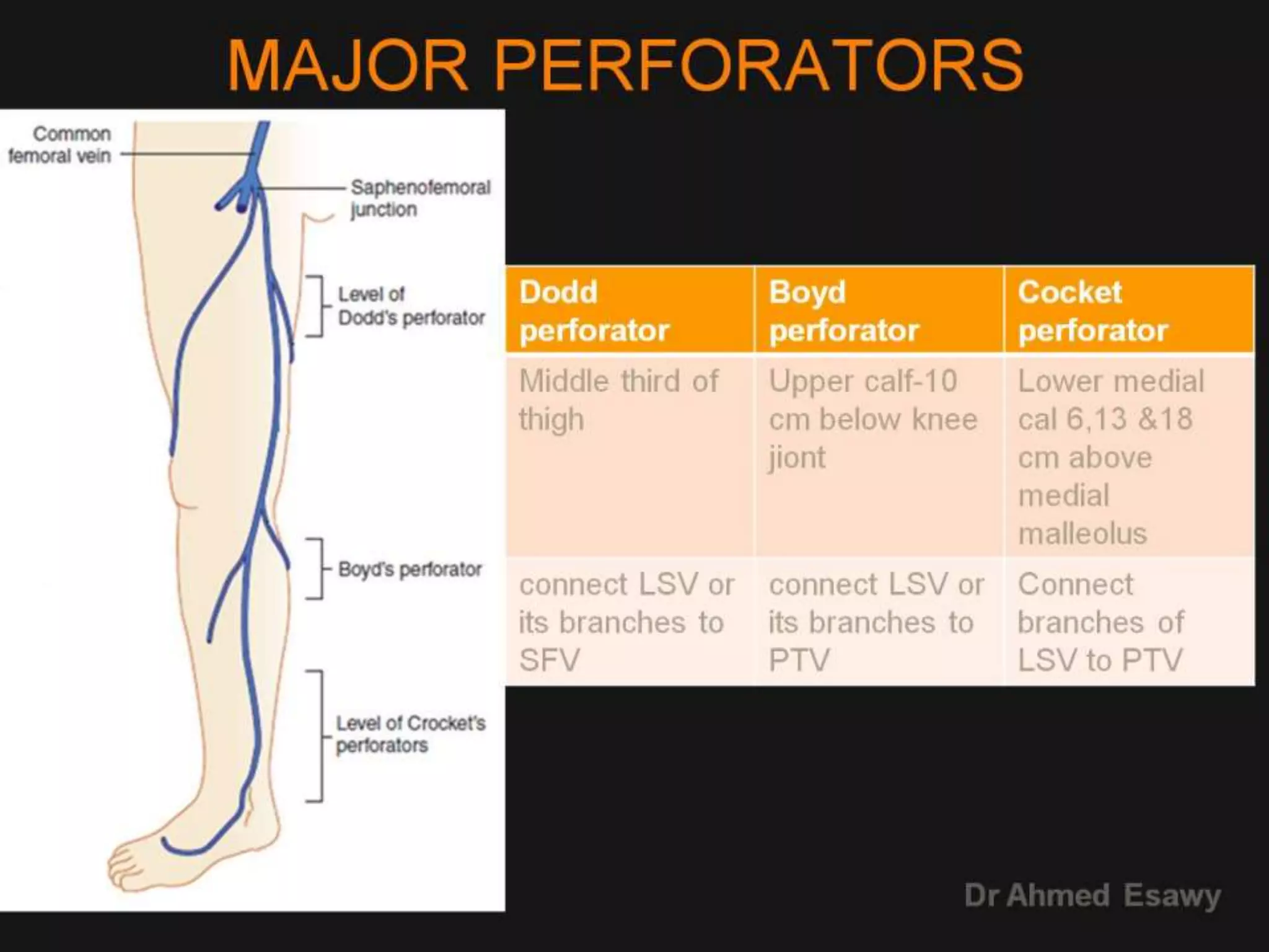 7 peripheral venous duplex perforating veins anatomy dr ahmed esawy | PPTX