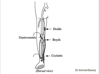 7 peripheral venous duplex perforating veins anatomy dr ahmed esawy | PPTX