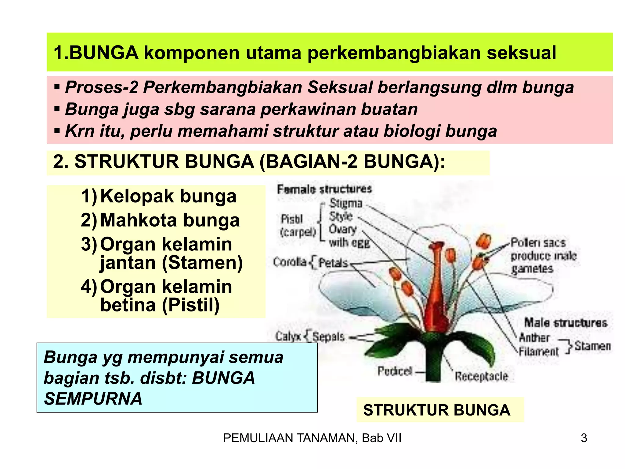 7-perkembangbiakan-tanaman.ppt