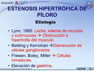 7. Estenosis Hipertrófica de píloro pediatría | PPTX