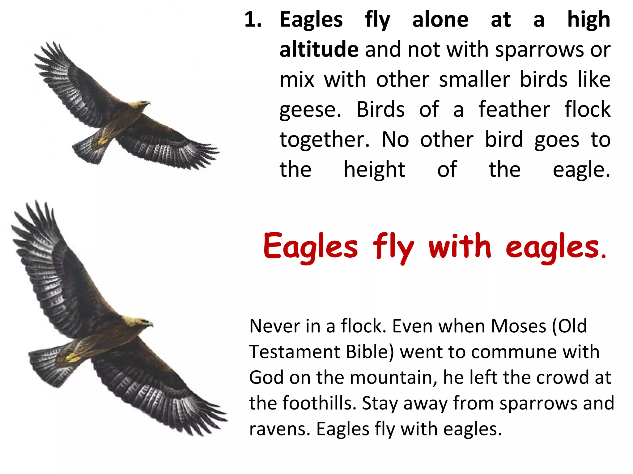 7 Principles Of Eagle 1 | PPT
