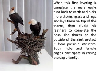 7 Principles Of Eagle 1 | PPT