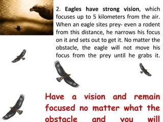 7 Principles Of Eagle 1 | PPT