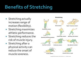 7 proper stretching (1) | PPT