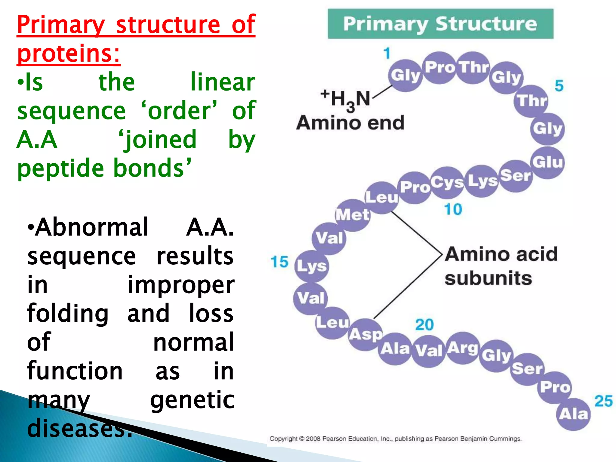 7-protein chemistry.pptx | Chemistry | Science