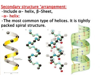 7-protein chemistry.pptx | Chemistry | Science