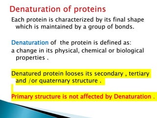 7-protein chemistry.pptx | Chemistry | Science
