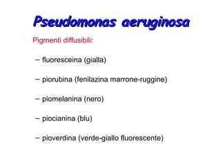 7.pseudomonas | PPT