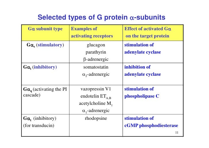 7 regulation of metabolism
