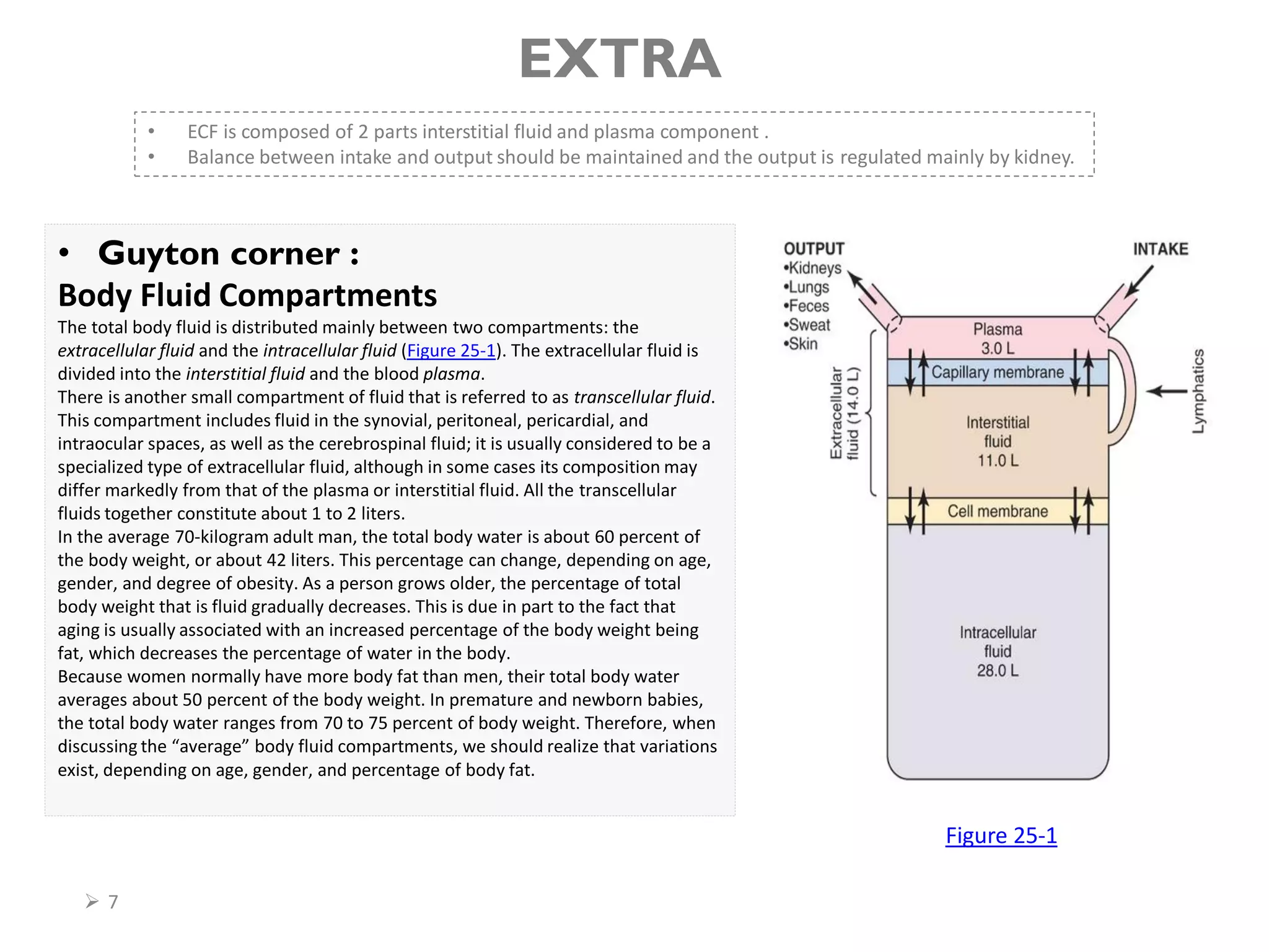 7-Renal regulation of body fluids.pdf