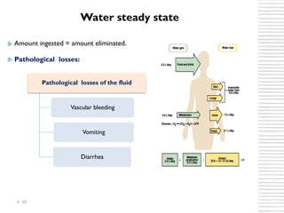 7-Renal regulation of body fluids.pdf