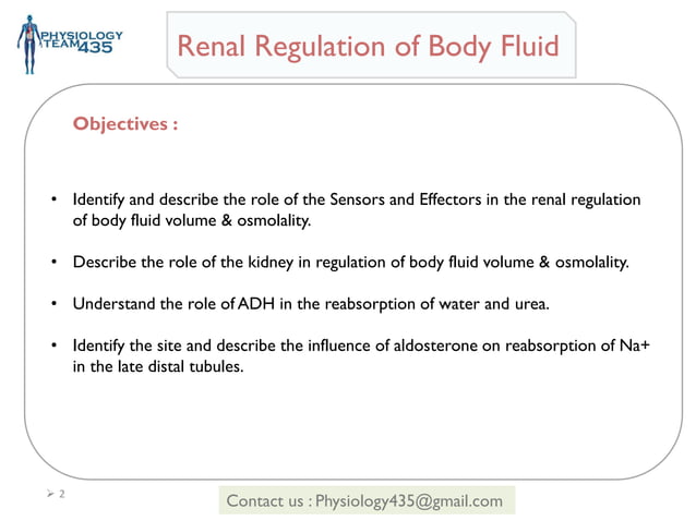 7-Renal regulation of body fluids.pdf