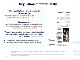7-Renal regulation of body fluids.pdf